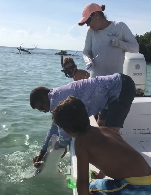 Viral: Video Shows Man Bitten By Shark - Daily Roshni